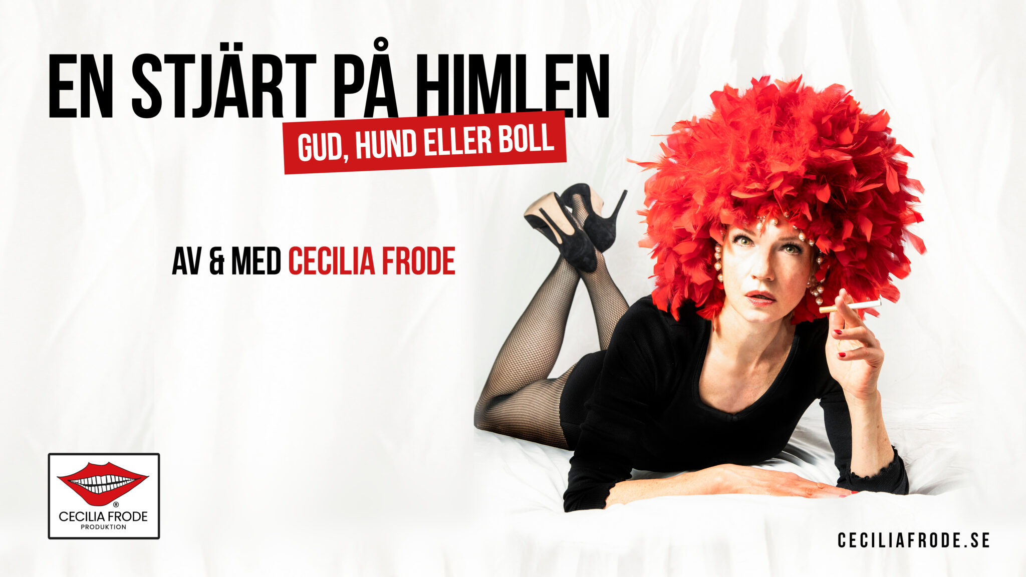 Cecilia Frode – En Stjärt på Himlen, Gud Hund eller Boll – Aftonstjärnan
